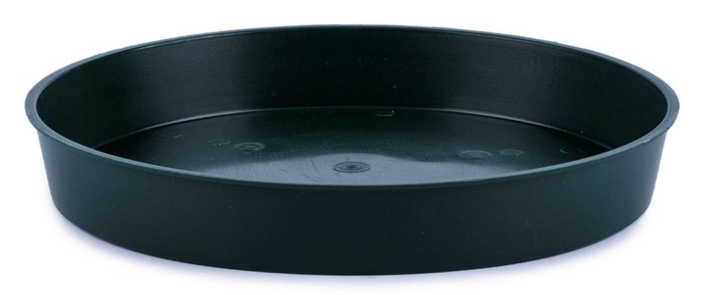 Floral Centerpiece Cylinder Tray Green 20cm | Floral Supplies | Pots ...