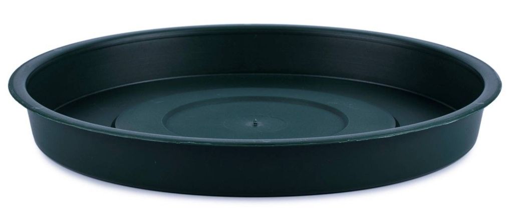 Floral Centerpiece Cylinder Tray Green 20cm | Floral Supplies | Pots ...