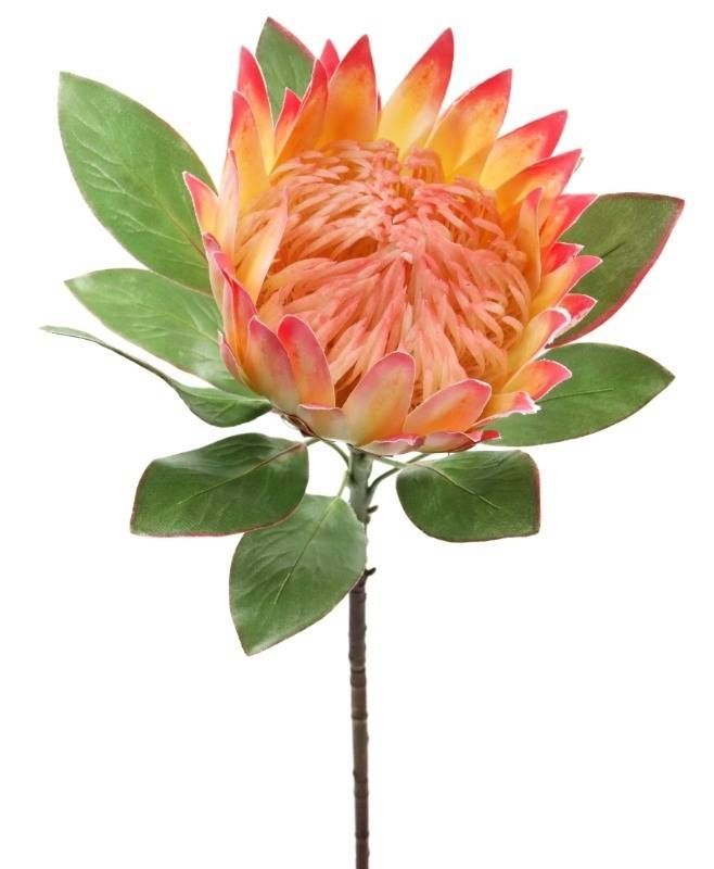 75cm King Protea Peach & Pink | Artificial Flowers, Fruits & Vegetables ...