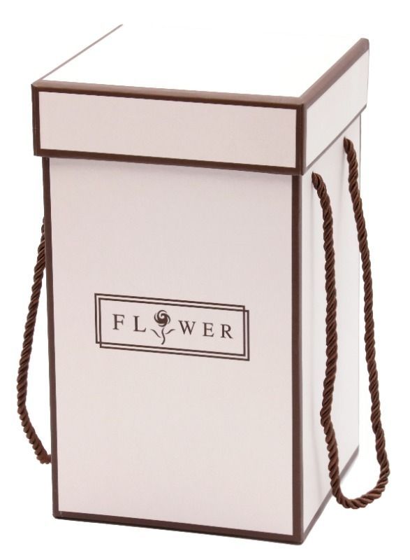 Large Square Flower Gift Box with Twisted String Handles Light Pink and ...