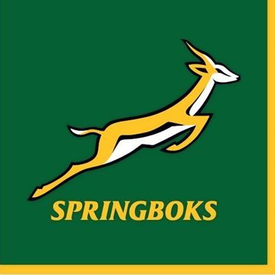 Springboks Paper Napkins | Party Supplies | Party Themes | Go Bokke ...