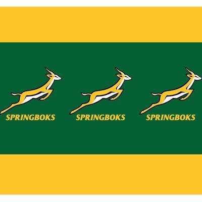 Springboks Paper Tablecover | Party Supplies | Party Themes | Go Bokke ...